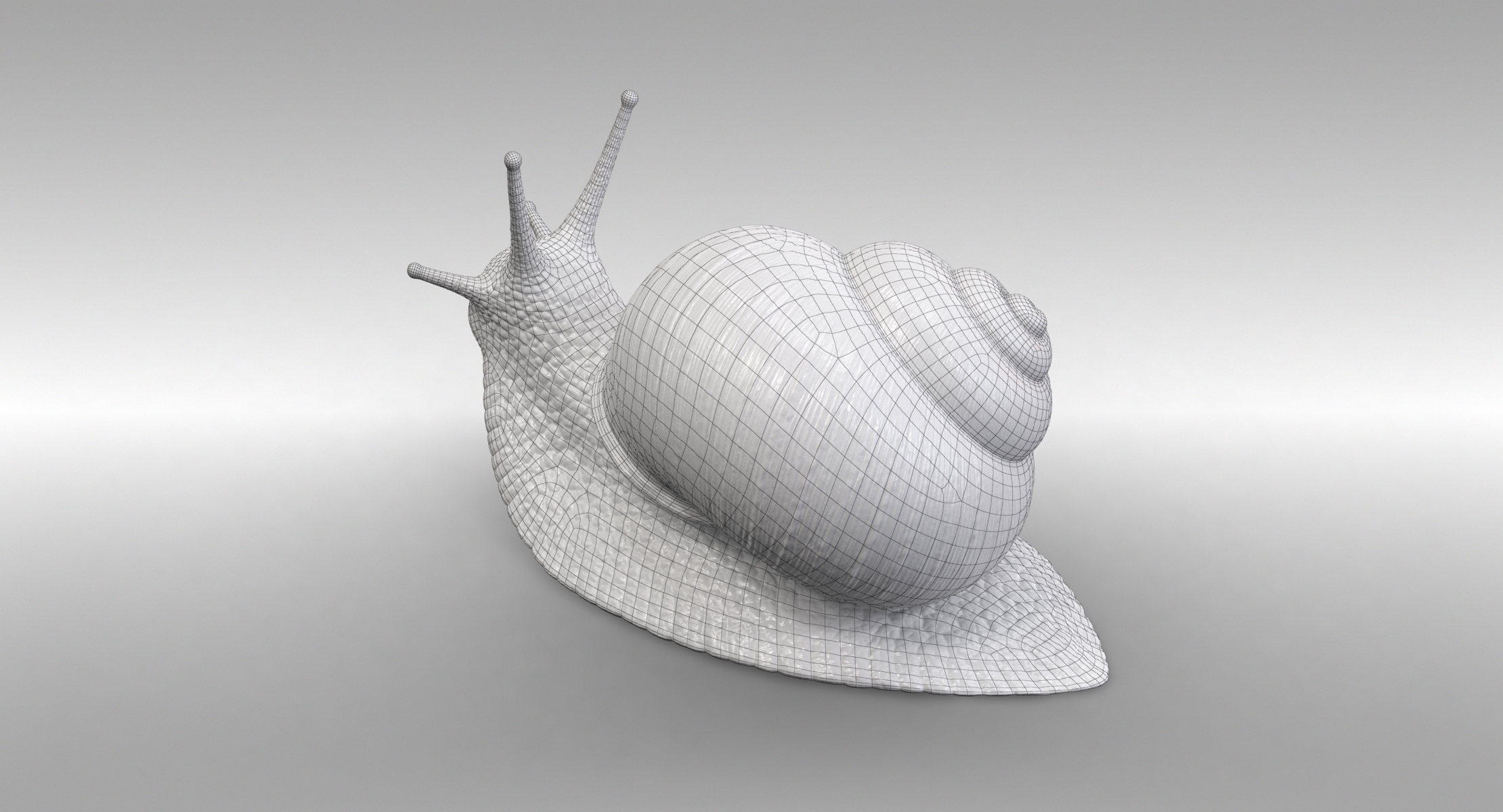 3D модель Snail - TurboSquid 1696213