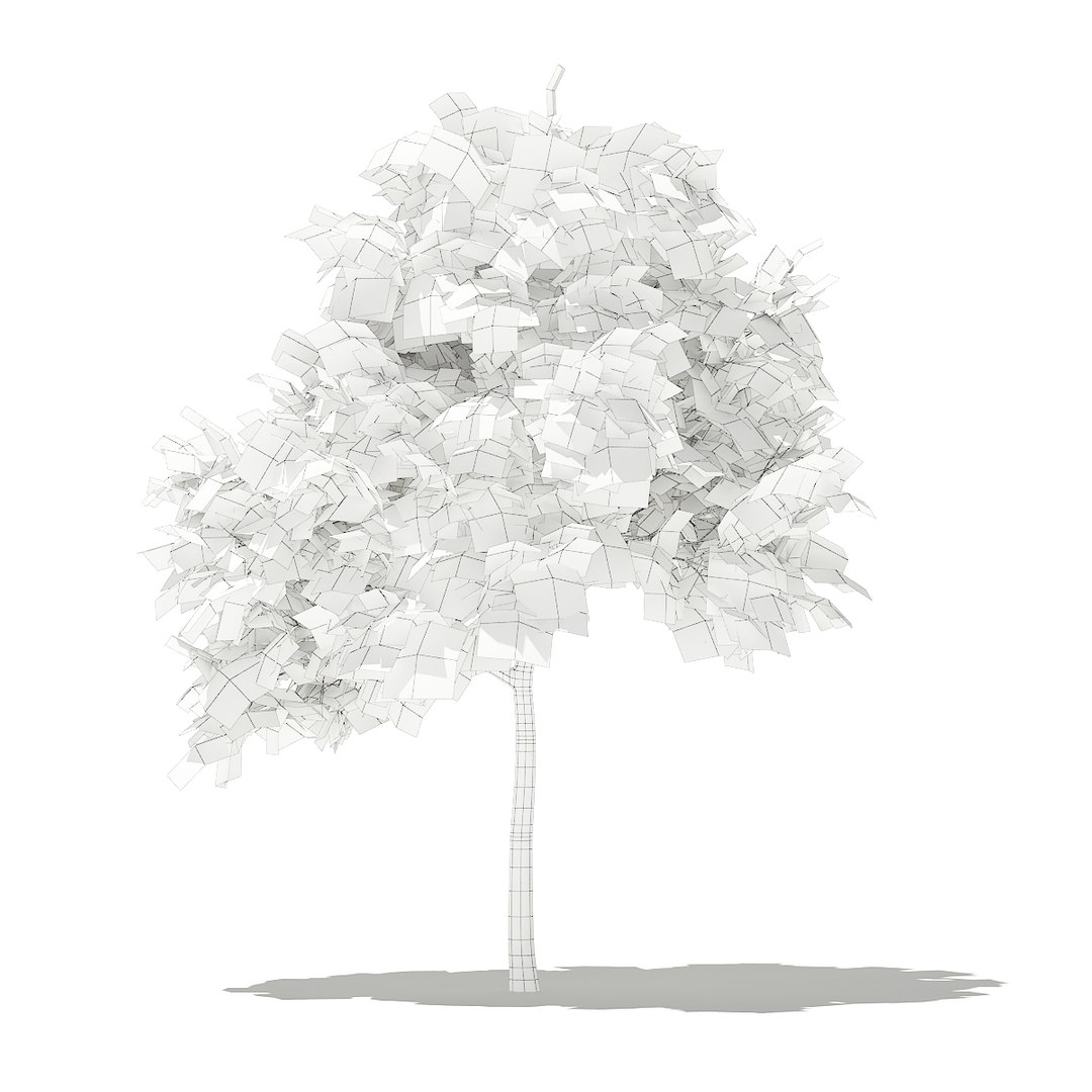 Common fig tree 1 3D model - TurboSquid 1305716
