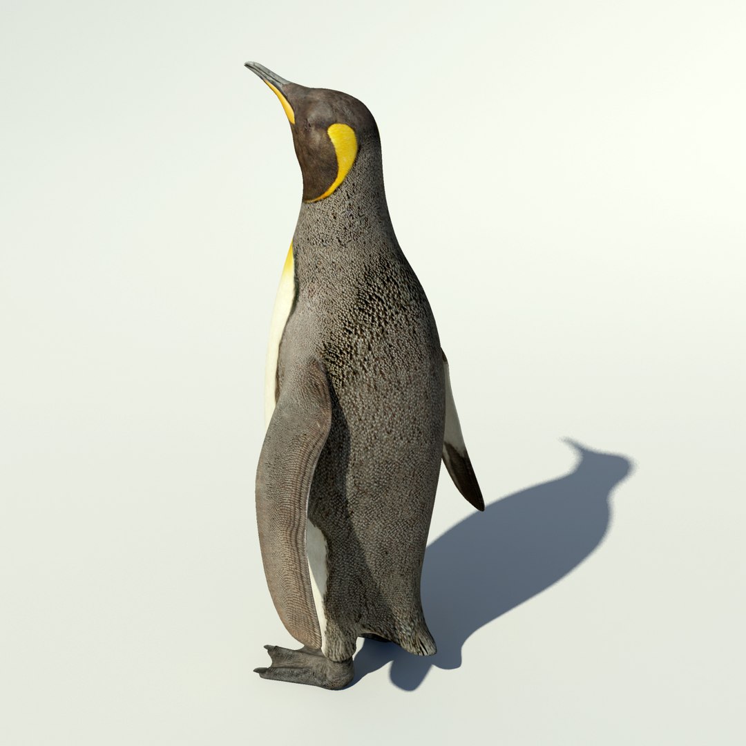 king penguin 3d model