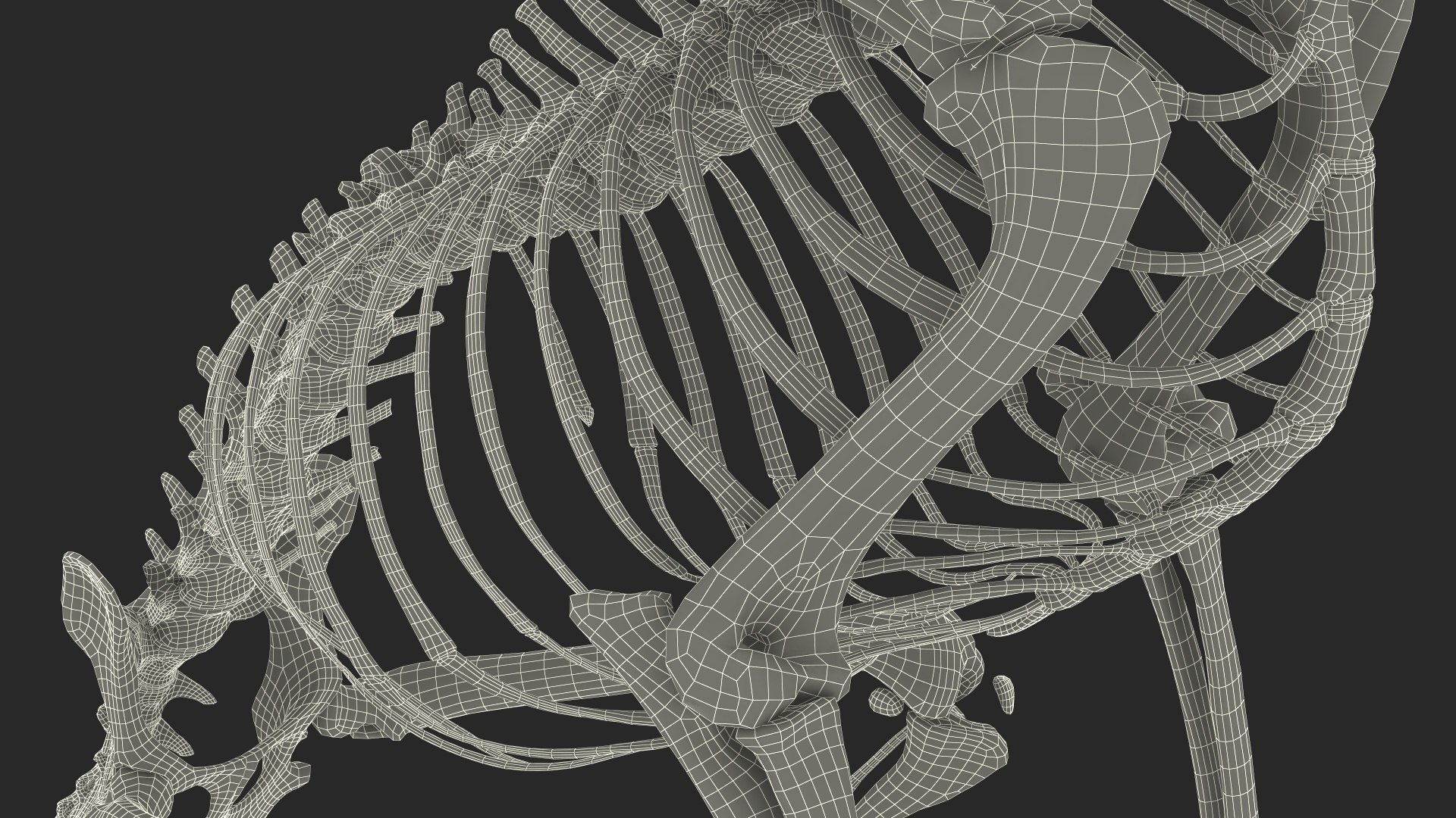 3D Dog Skeletal Anatomy Sitting Pose - TurboSquid 2396129