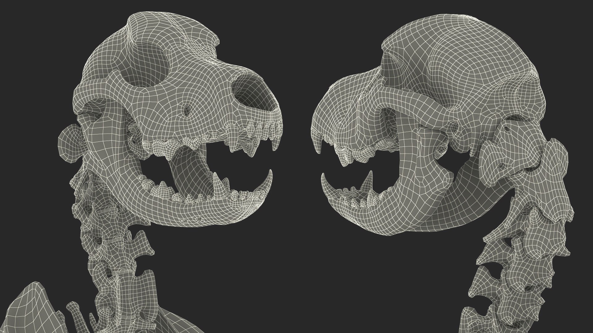 3D Dog Skeletal Anatomy Sitting Pose - TurboSquid 2396129