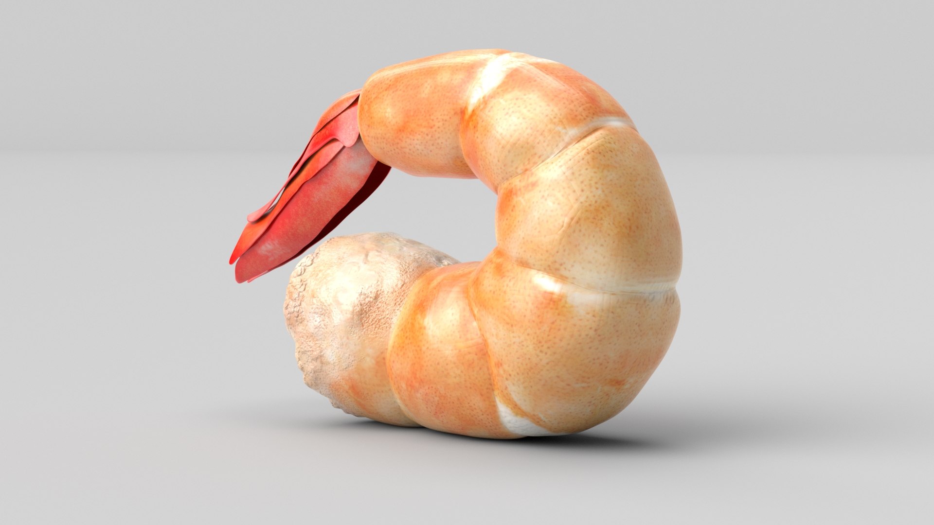 Shrimp Prawn Crustacean Model - TurboSquid 1576368