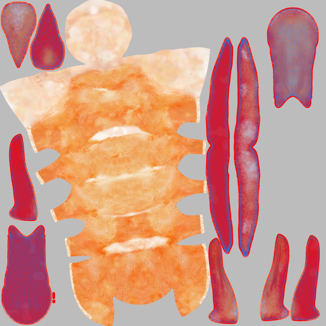 Shrimp Prawn Crustacean Model - TurboSquid 1576368