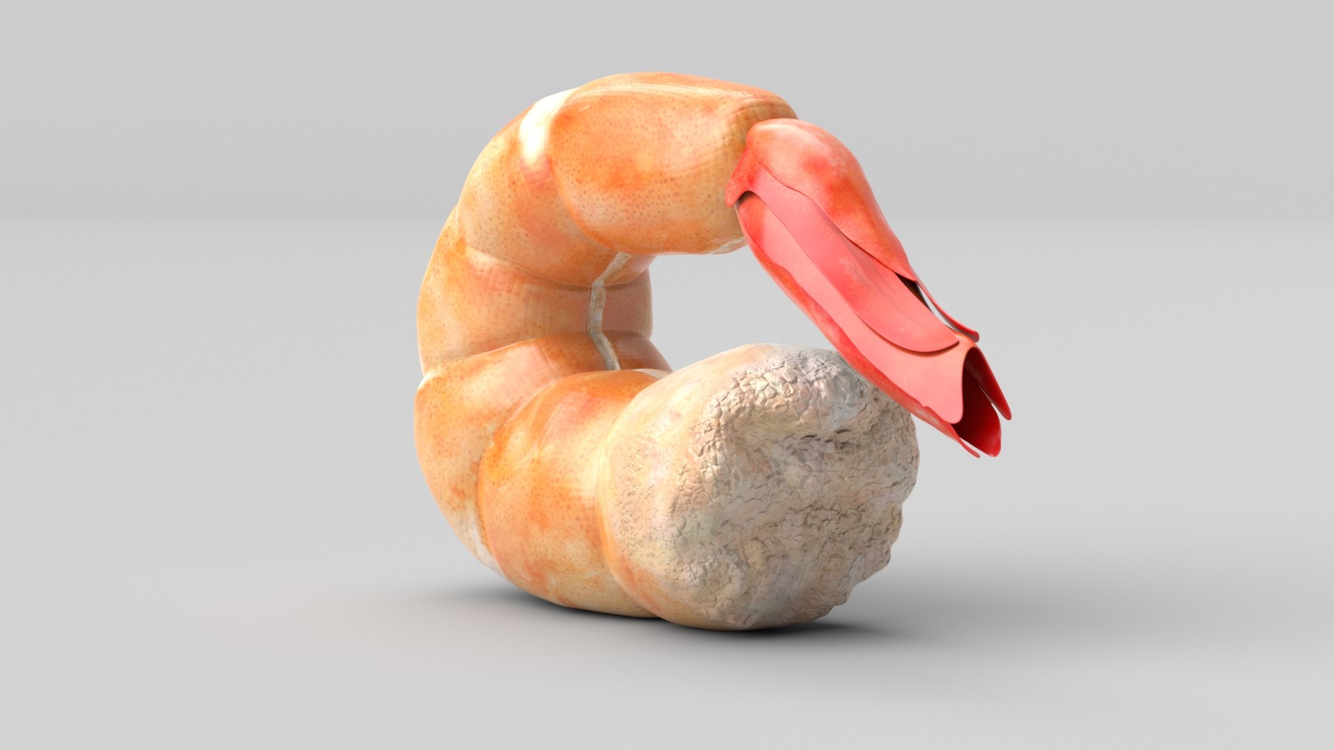 Shrimp Prawn Crustacean Model - TurboSquid 1576368
