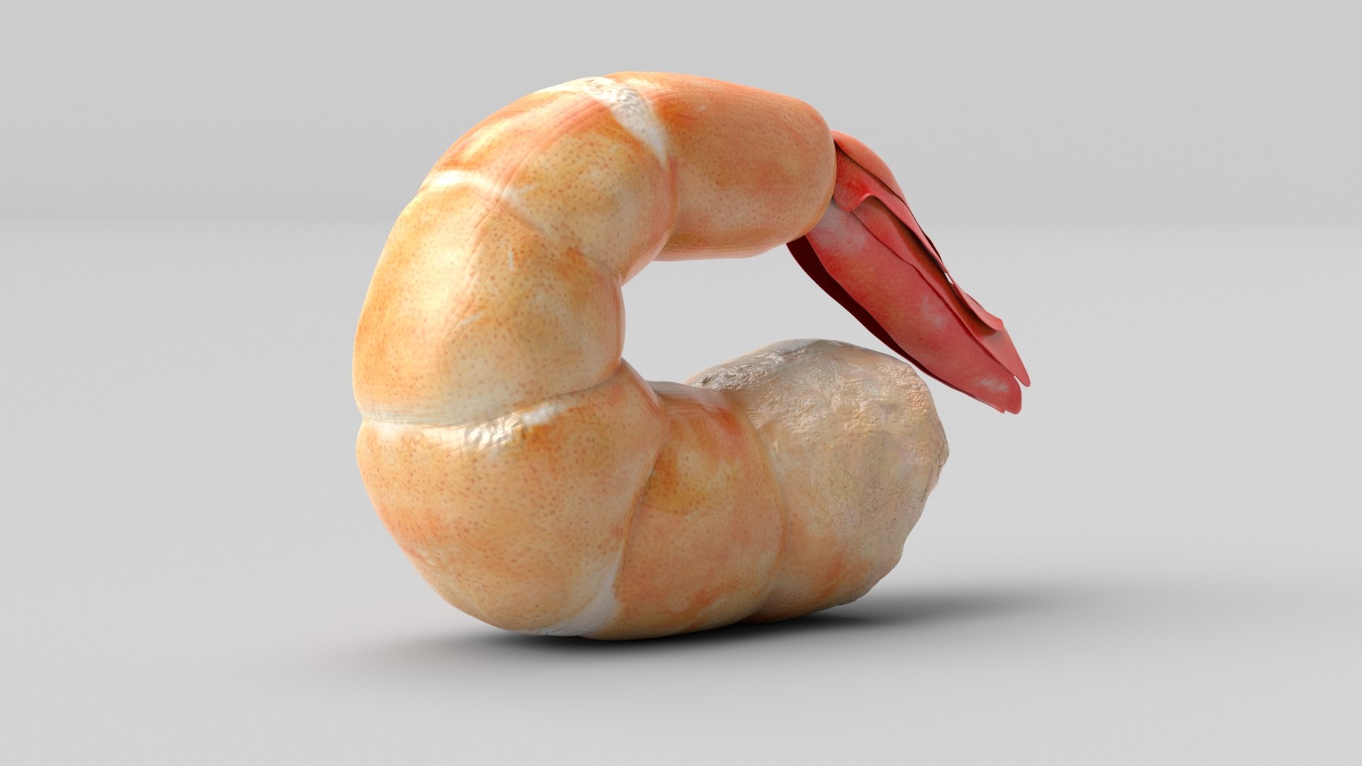 Shrimp Prawn Crustacean Model - TurboSquid 1576368