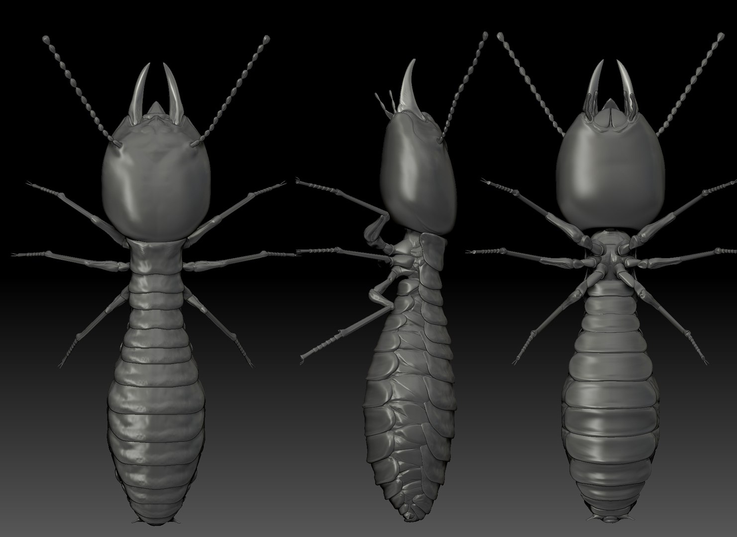 Termite Rigged 3D - TurboSquid 1286962