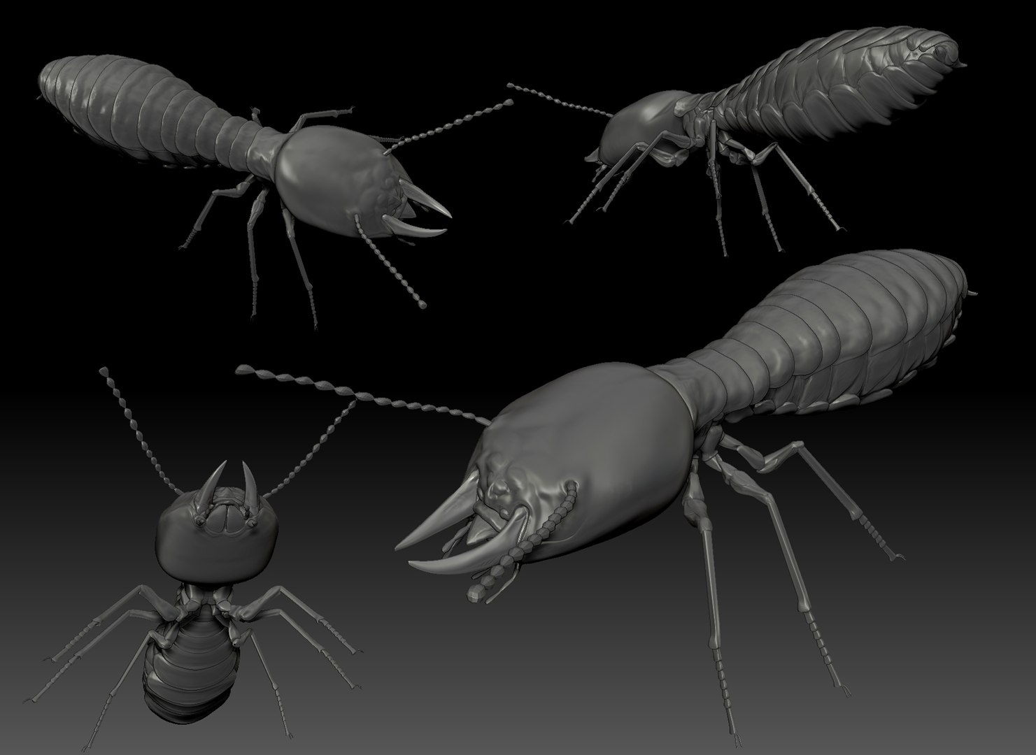 Termite Rigged 3D - TurboSquid 1286962