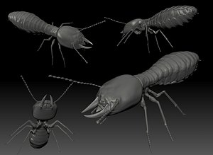 3D Termite Models - Browse & Download Formats - TurboSquid