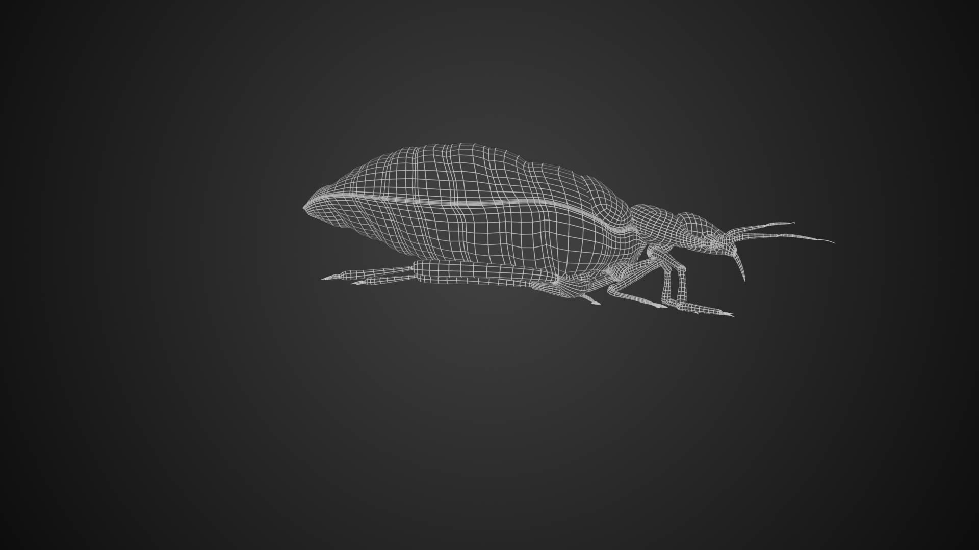 3D Bed Bug 01 Model - TurboSquid 2145431