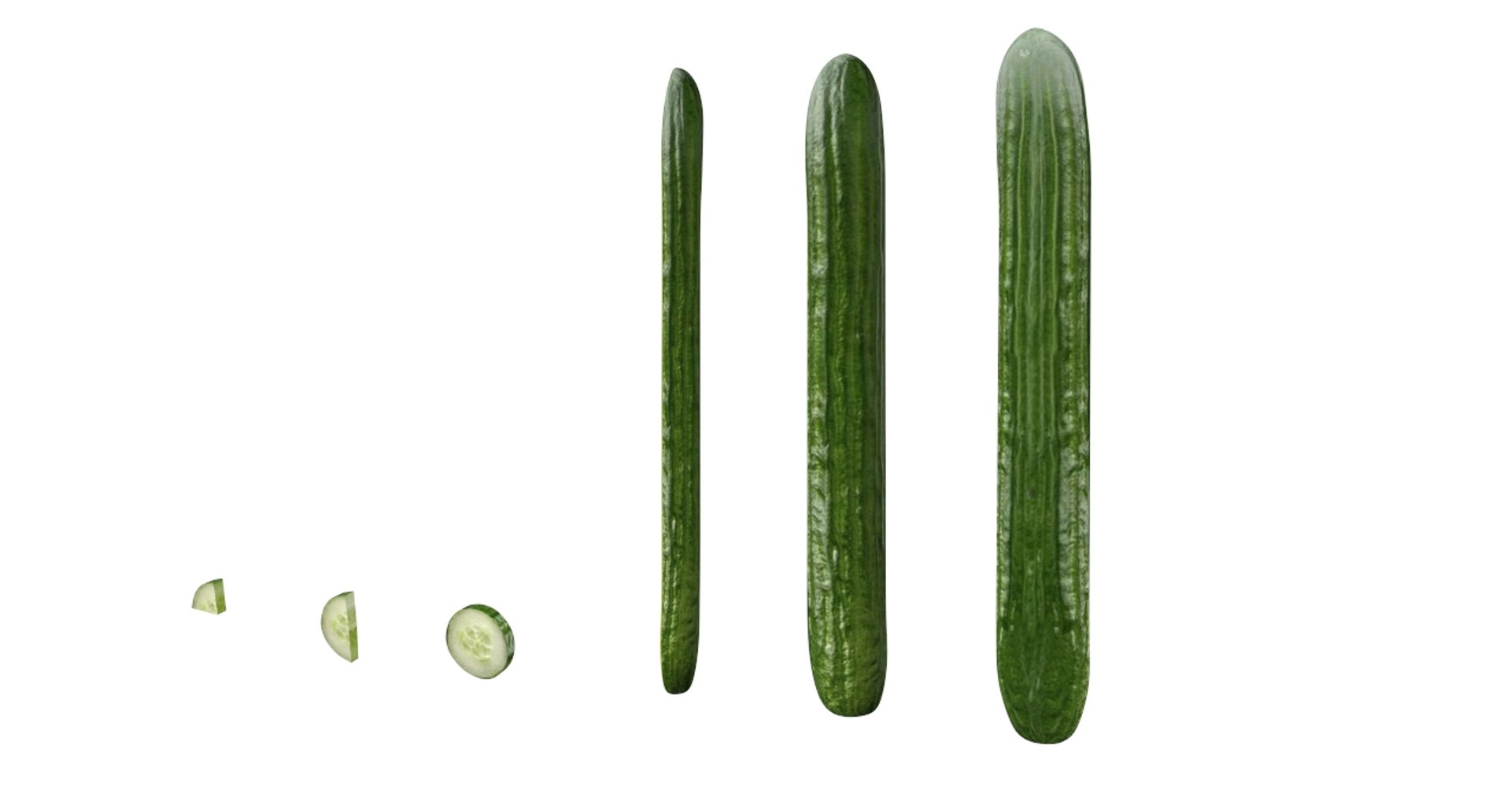 Cucumber Long 3D Model - TurboSquid 1556930