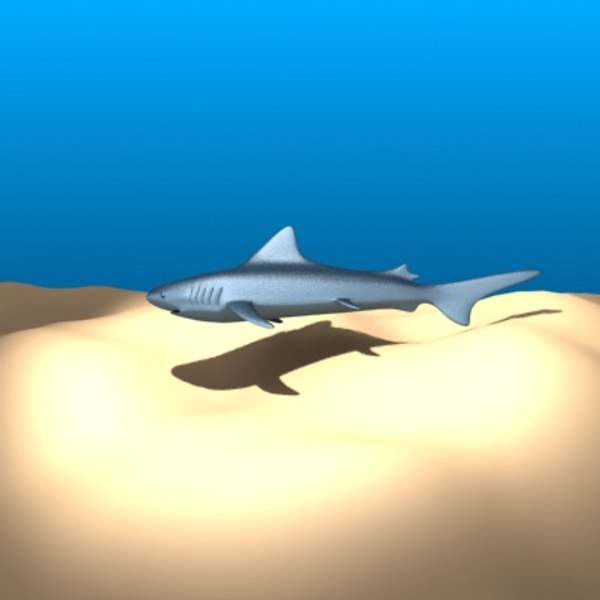 ocean creature fish 3d model