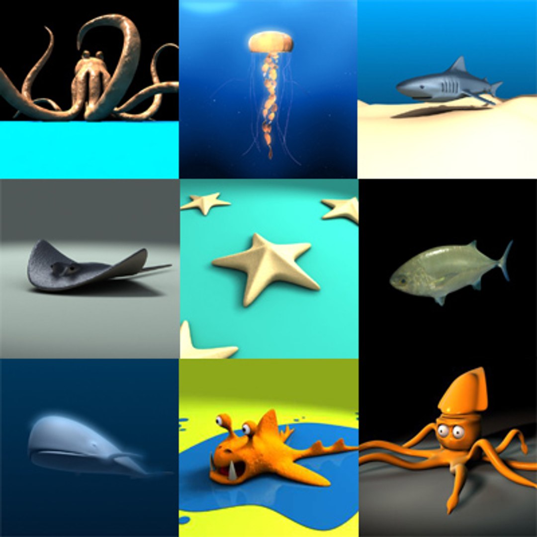 Ocean Creature Fish 3d Model