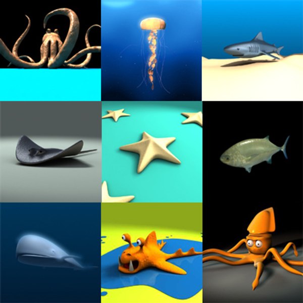 ocean creature fish 3d model