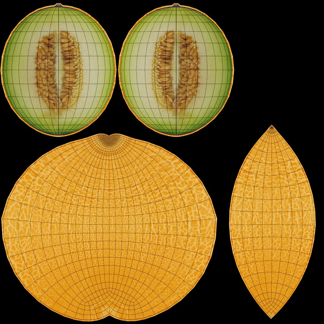 Realistic Melon 3D - TurboSquid 1182132