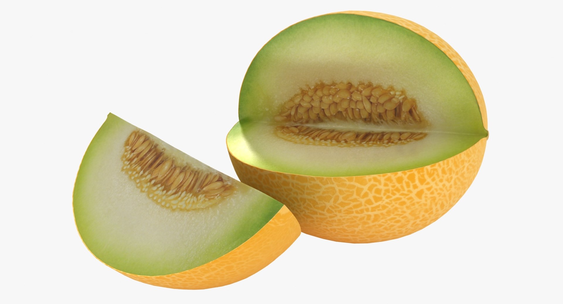 Realistic Melon 3D - TurboSquid 1182132