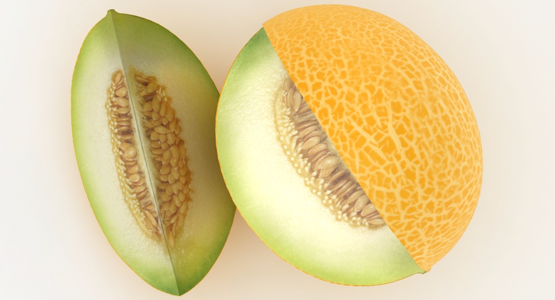 Realistic Melon 3D - TurboSquid 1182132