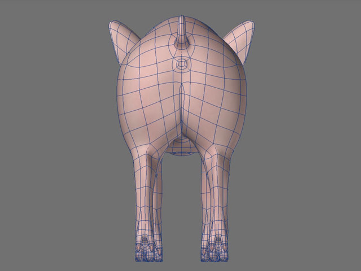 Pig Lwo